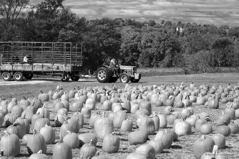 Hayride Background Hayrides Queens County Farm Museum