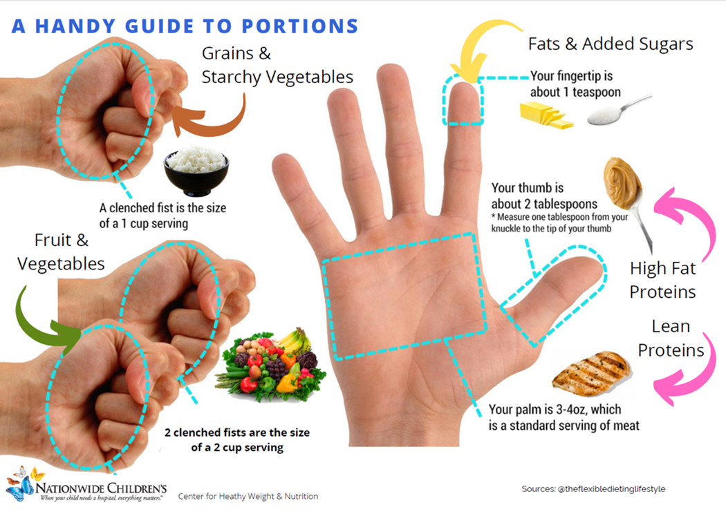 Essential Guide To Portion Sizes Nutrition